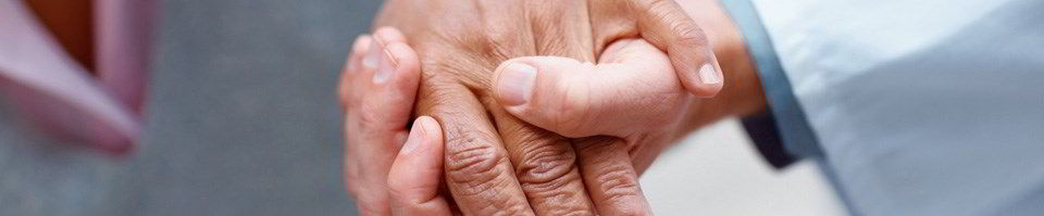 Geriatrics - Professional Training Programs - Curriculum & Schedule ...