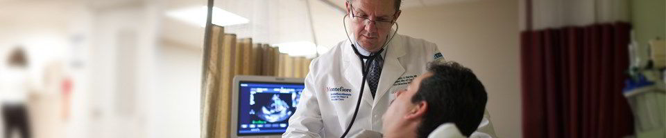 Contact Us | Montefiore Einstein